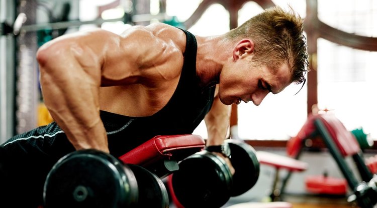 THE 10 BEST EXERCISES FOR EVERY MAJOR MUSCLE - NinjaXmen